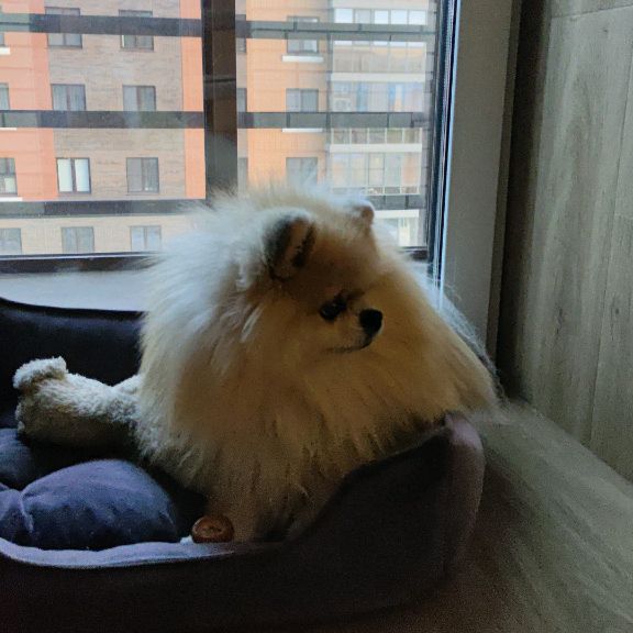 Иконка канала Stepasova