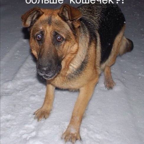 Иконка канала лайки