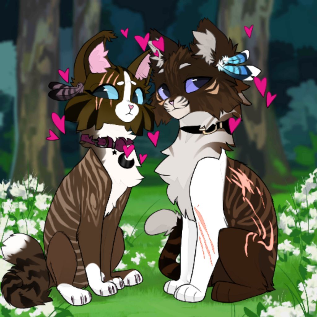 Иконка канала Бурая Звезда🌟🌠⭐