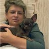 Иконка канала Всё про жизнь и не только: хобби, отдых,развлечени