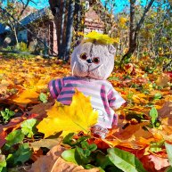 Иконка канала TOYS_Sofee💛