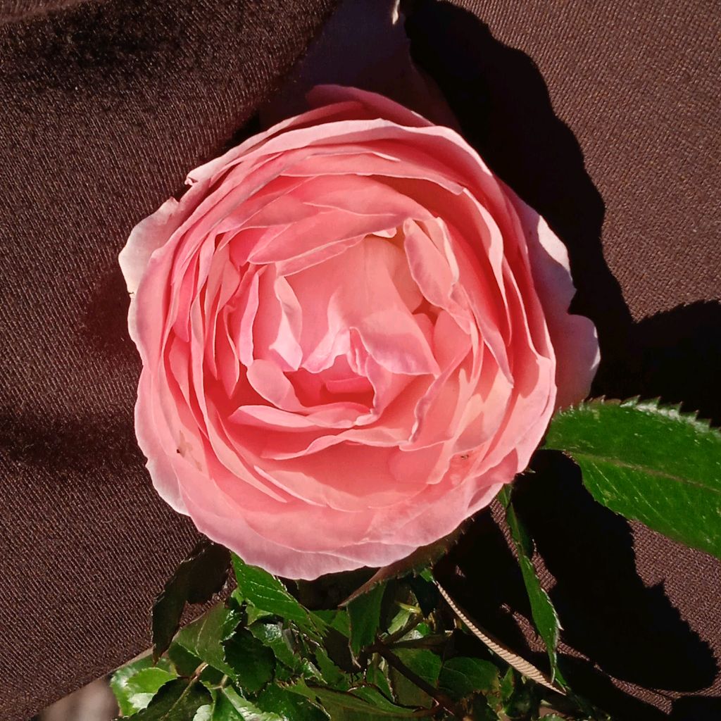 Иконка канала МаринаР