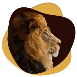 Иконка канала Веб студия СЕО ЛЕВ