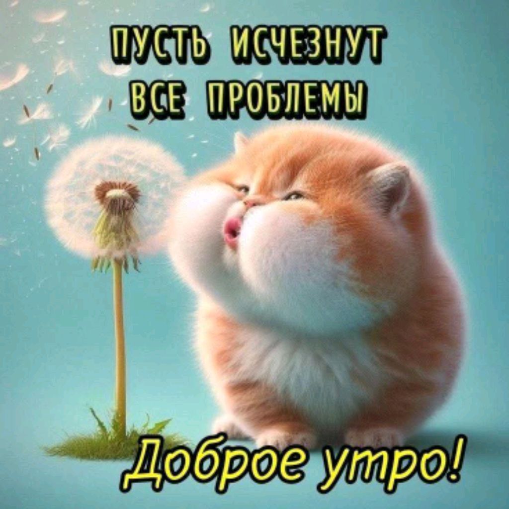 Иконка канала Оля-Бараболя