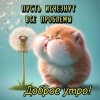 Иконка канала Оля-Бараболя
