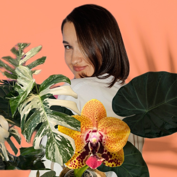 Иконка канала Жанна Капибарыня