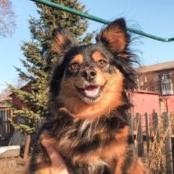 Иконка канала Елена Фокина