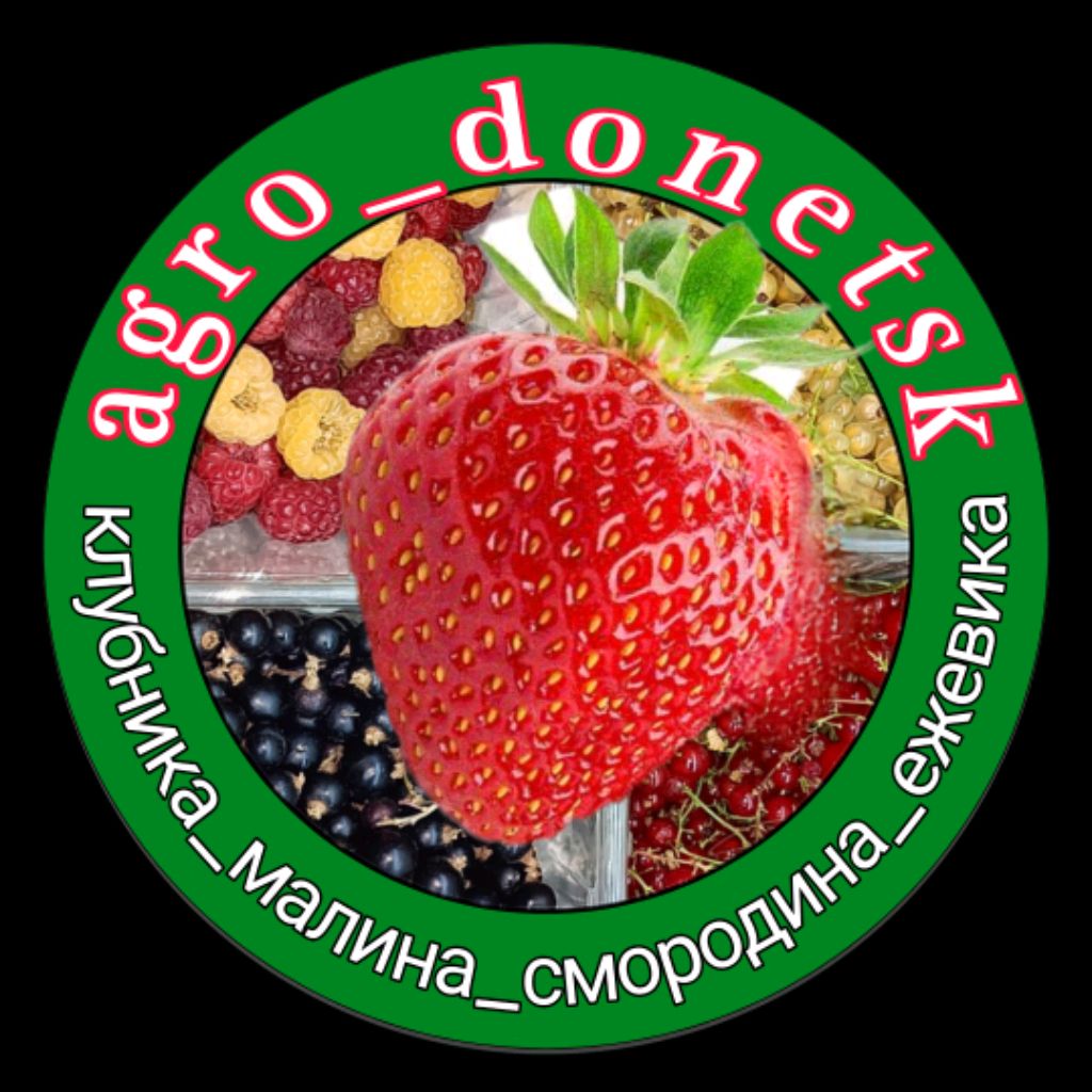 Иконка канала agro_donetsk Выращиваем Малину Клубнику, Смородину