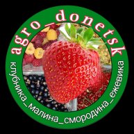 Иконка канала agro_donetsk Выращиваем Малину Клубнику, Смородину
