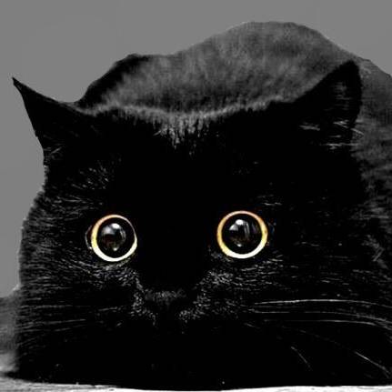 Иконка канала Myrzik