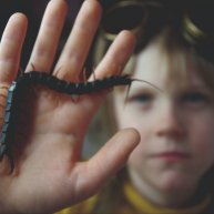 Иконка канала Дикие Вещи Северьяна