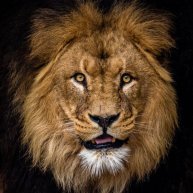 Иконка канала Сережка Миллеровский