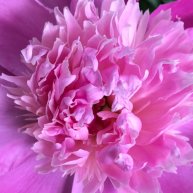 Иконка канала Просто так 🌸