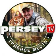 Иконка канала Грибное место - PerSey TV
