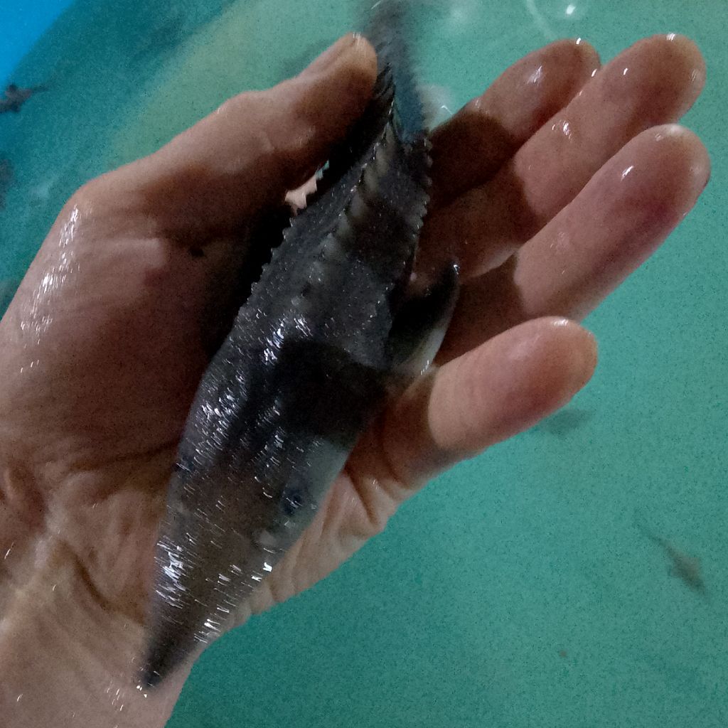 Иконка канала Жизнь На селе