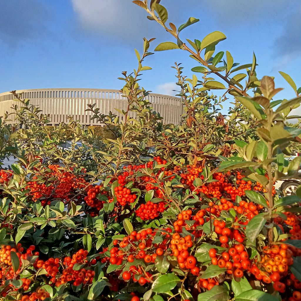 Иконка канала Юлия П