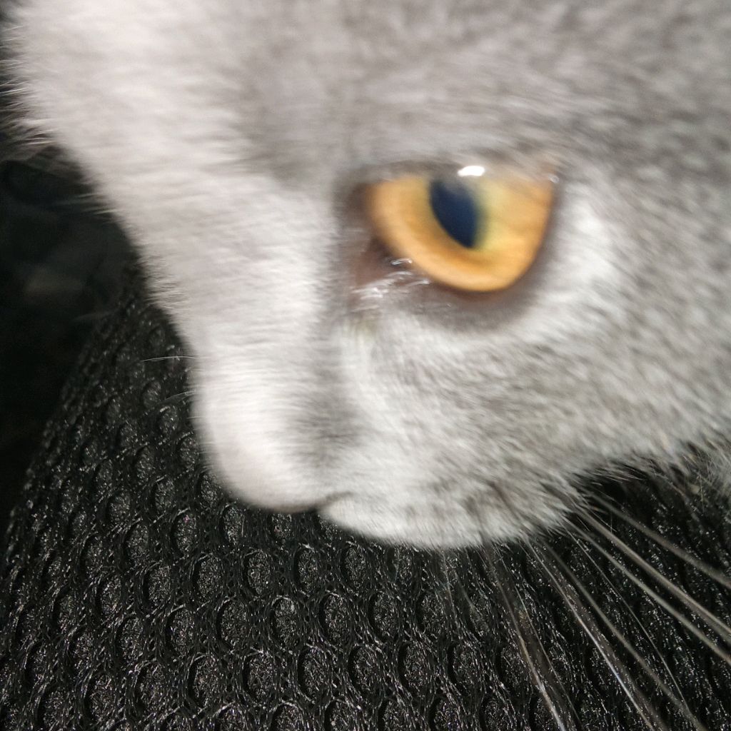 Иконка канала ГАЙСТ17К