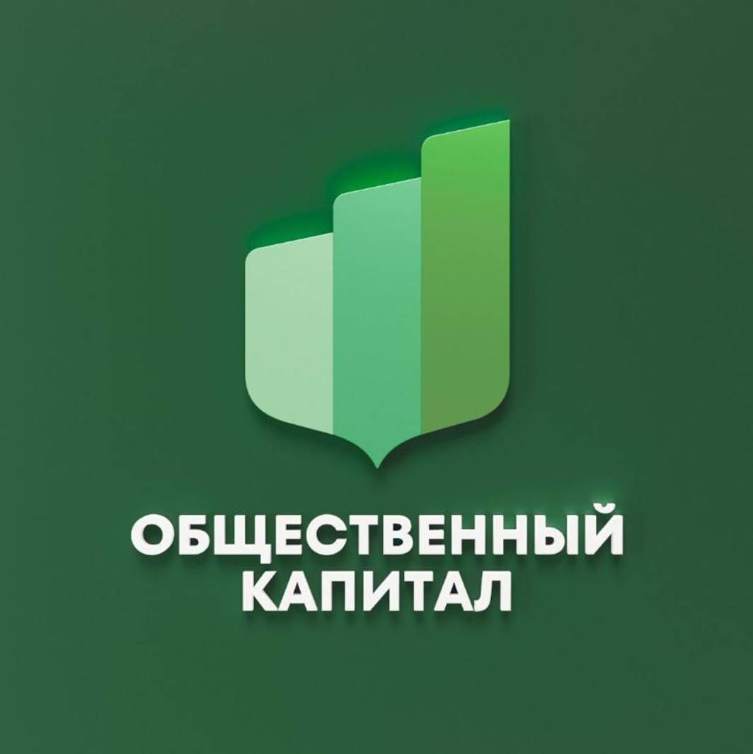 Иконка канала Общественный капитал