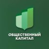 Иконка канала Общественный капитал