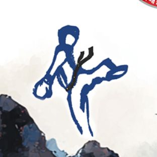 Иконка канала pro-taekwondo.ru