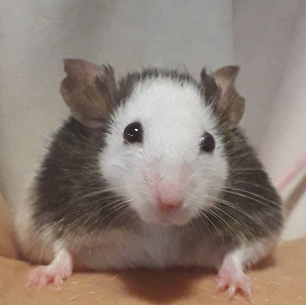 Иконка канала Давай со мной