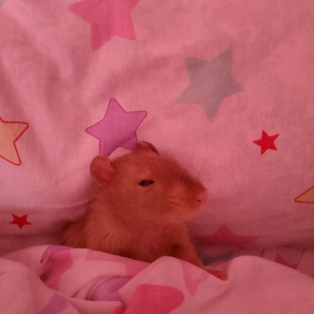 Иконка канала Жека ❤️