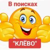 Иконка канала В поисках "клёво"