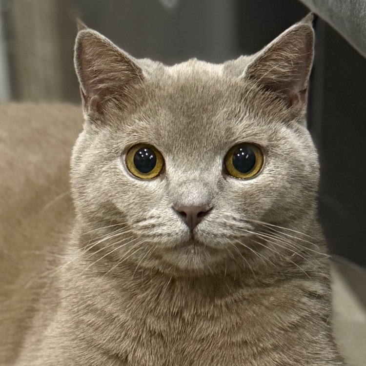 Иконка канала МояМилка❤️