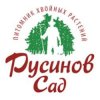 Иконка канала Питомник хвойных "Русинов Сад"