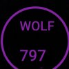 Иконка канала wolf 797
