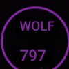 Иконка канала wolf 796