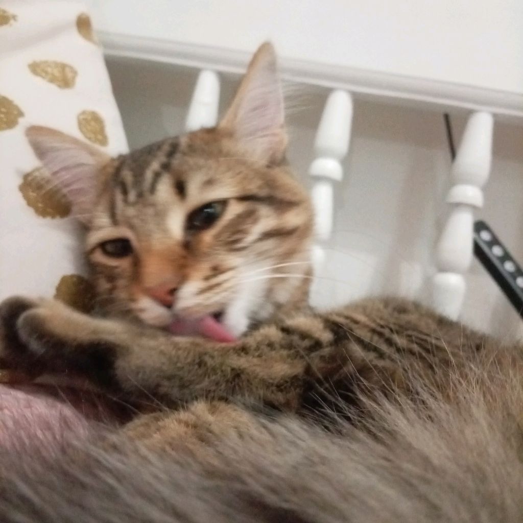 Иконка канала channel70060845