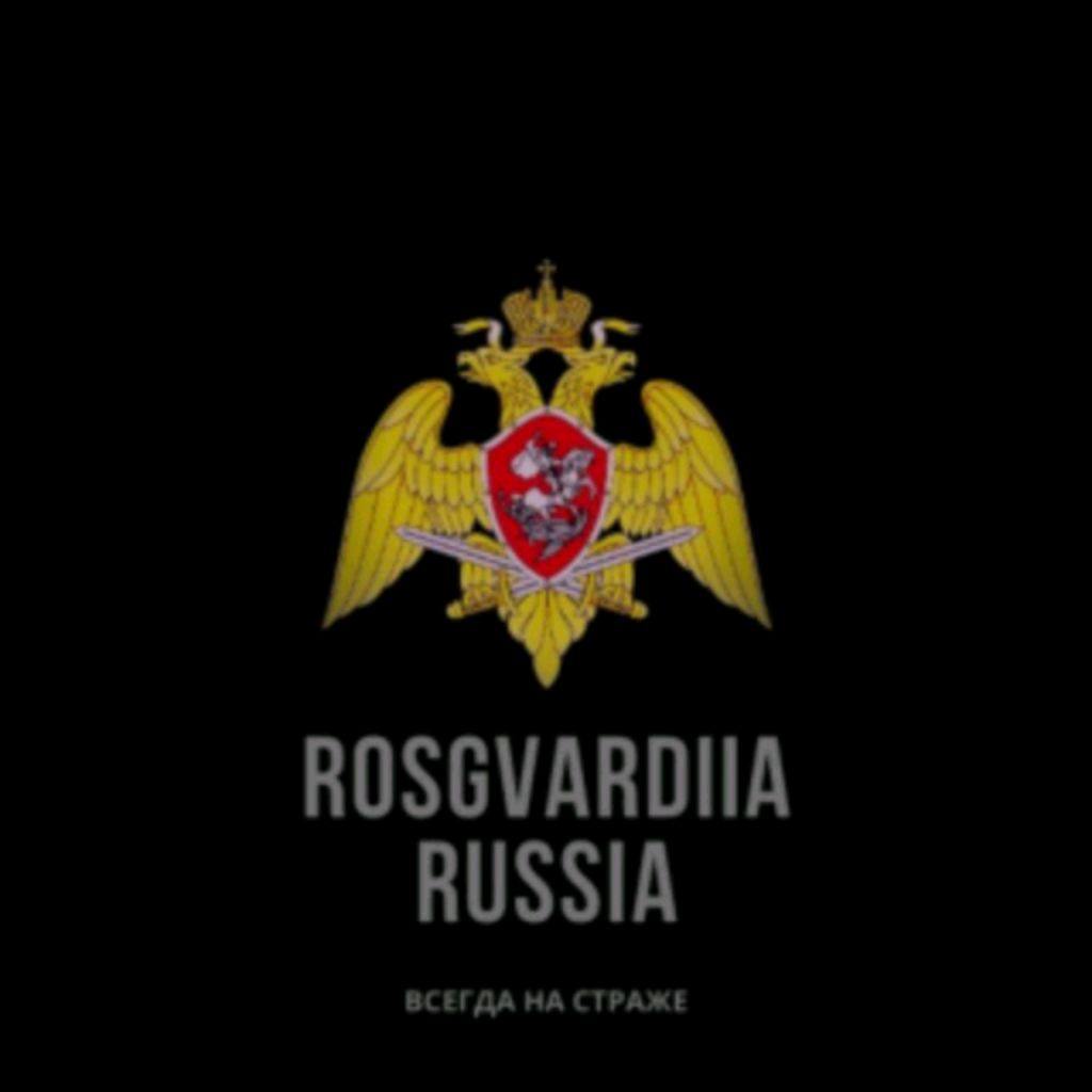 Иконка канала R. Volkovich