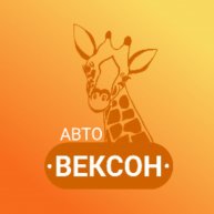 Иконка канала Вексон АВТО