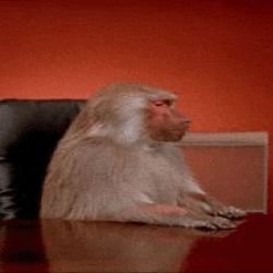 Иконка канала monki_dayn