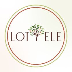 Иконка канала LOTELE - консалтинг и управление отелями