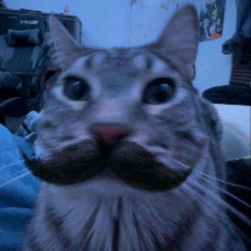 Иконка канала MrCatAnfalov