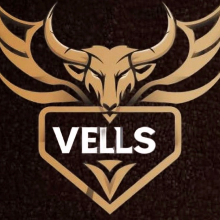 Иконка канала VELLS