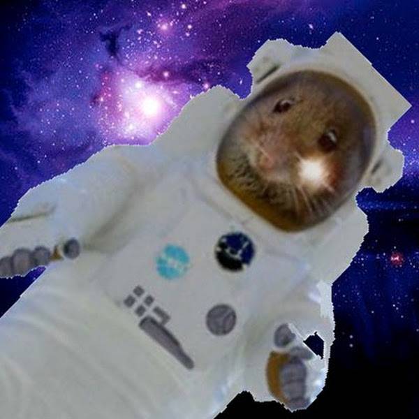 Иконка канала Vadya_S