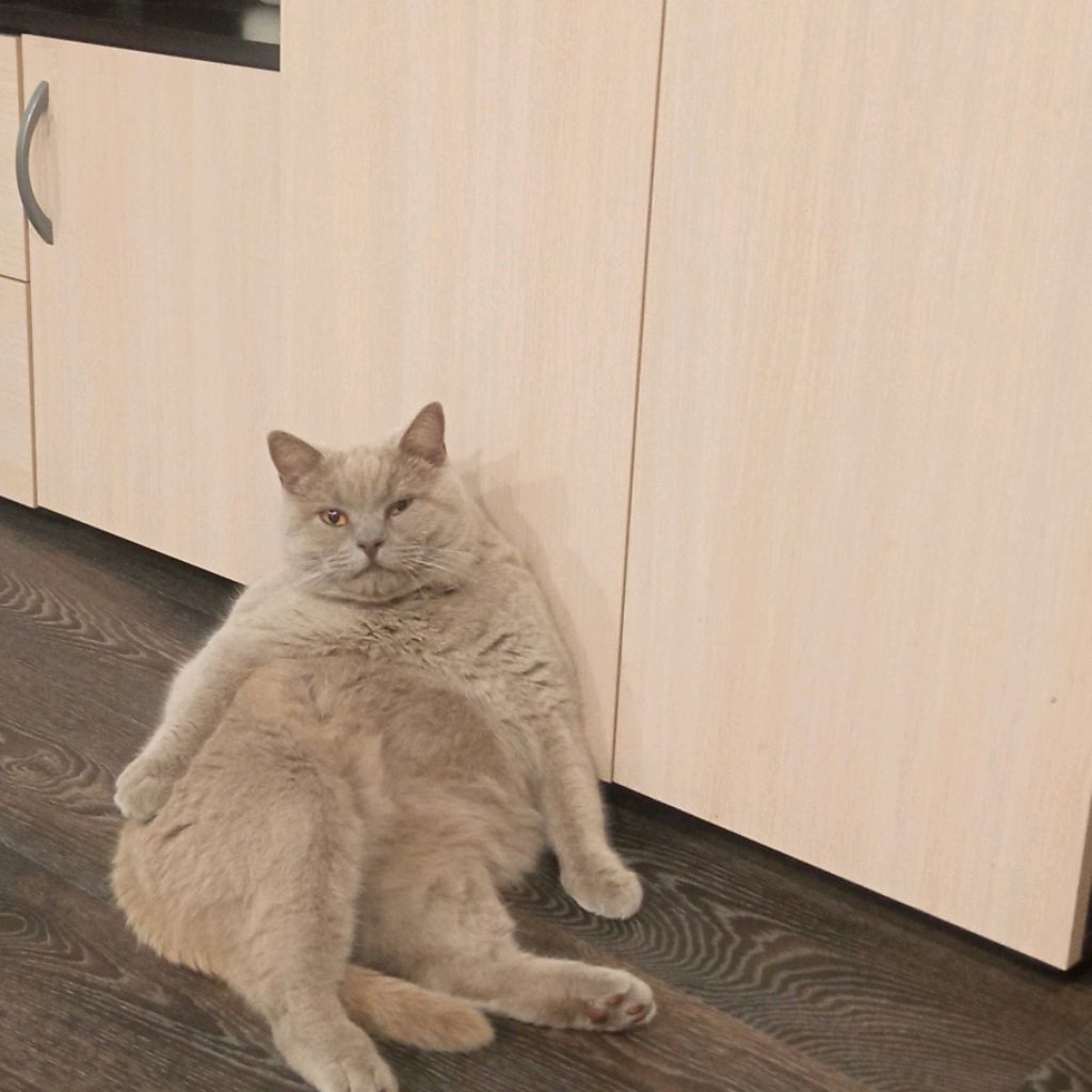 Иконка канала Светка конфетка