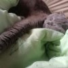 Иконка канала ВЫЖИТЬ?