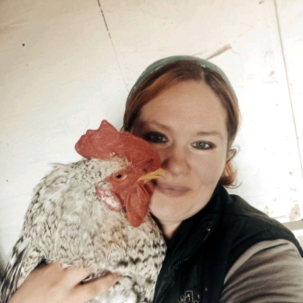 Иконка канала ЗА ГОРОДСКОЙ ЧЕРТОЙ ЛПХ 24