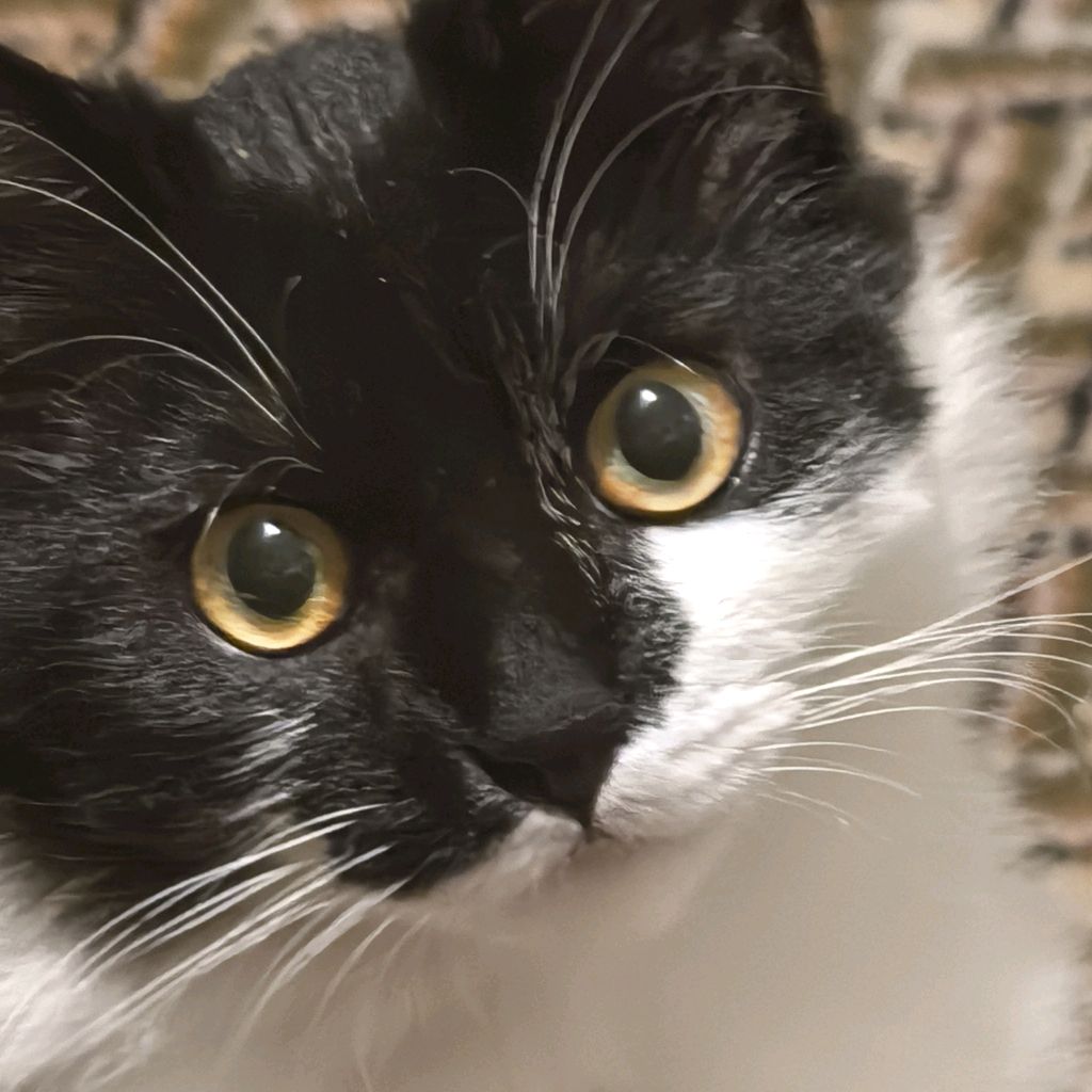 Иконка канала Мастер на час