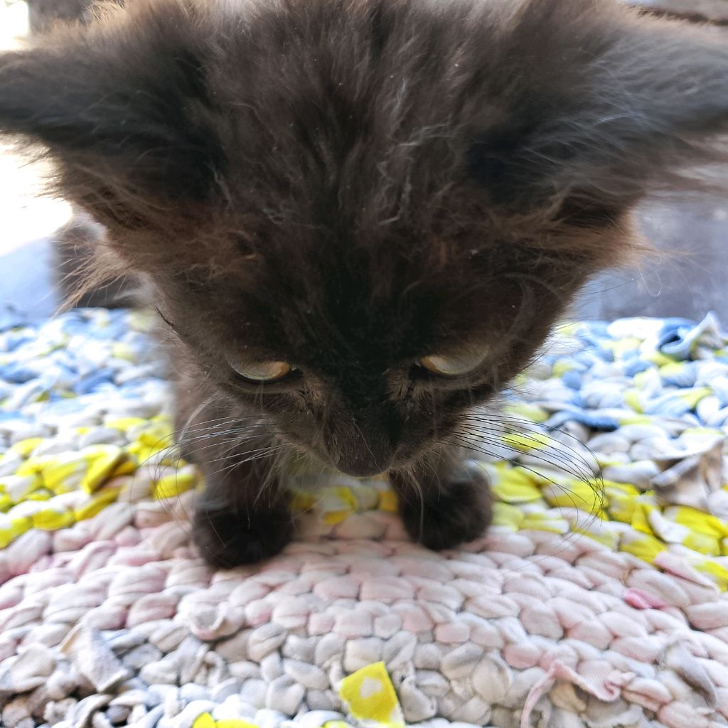 Иконка канала Ksenia_Xi