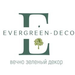 Иконка канала evergreen-deco.ru