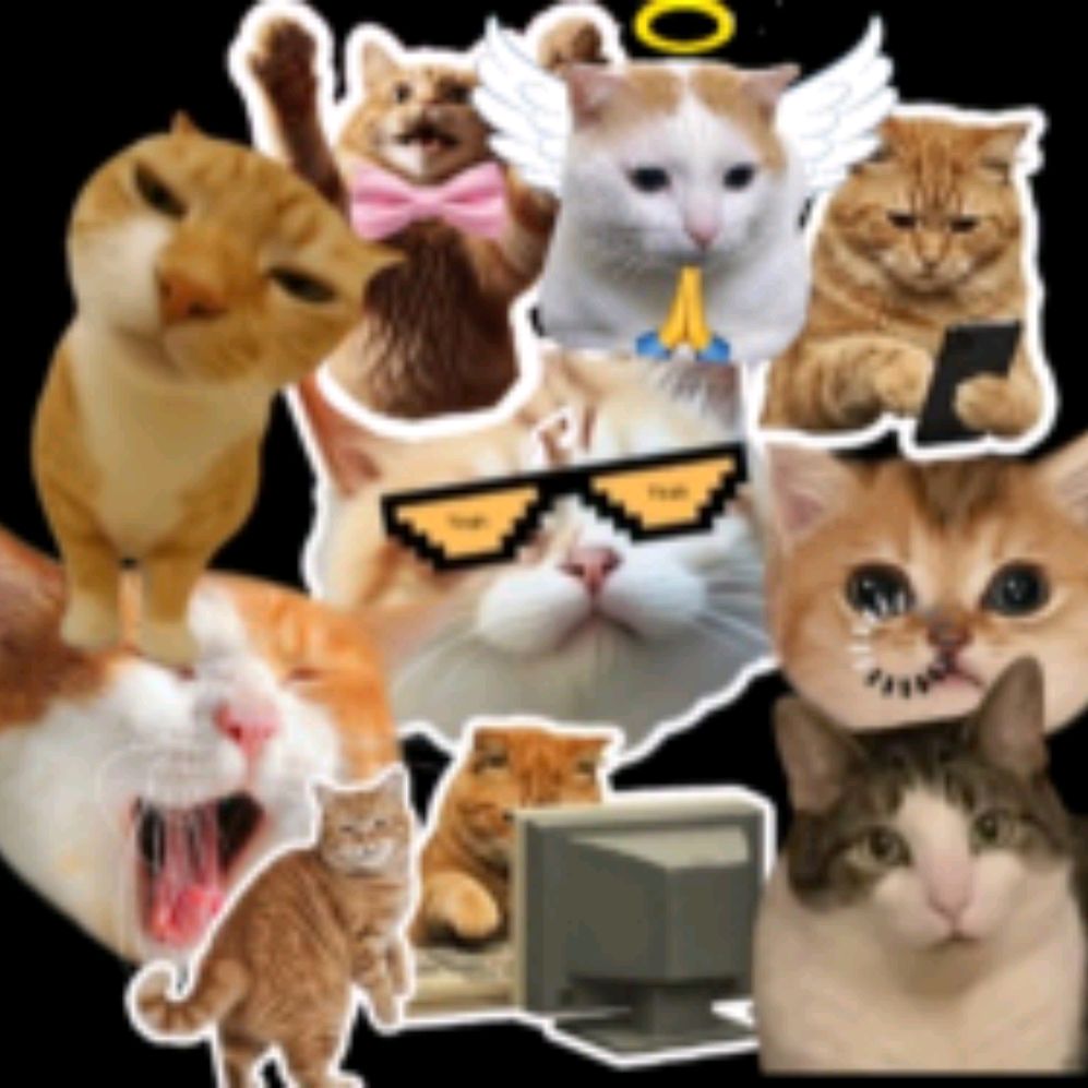 Иконка канала 😻Банда котиков😻 2026🐱