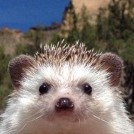 Иконка канала Багаева Эмма