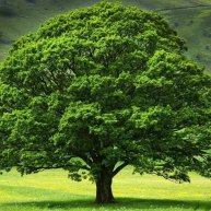 Иконка канала MEDIAN MEDIA