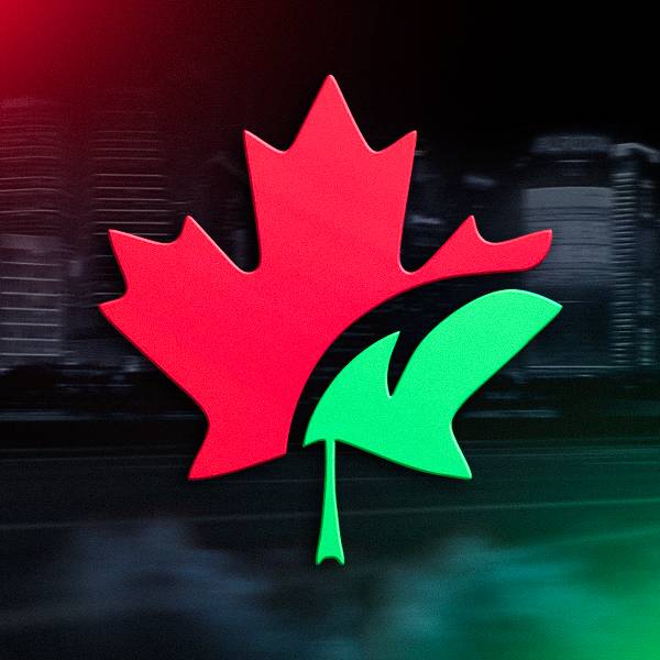 Иконка канала CarMaple | Авто из Китая и Японии