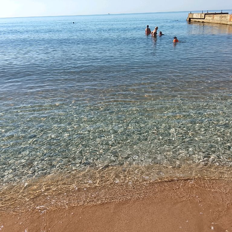 Иконка канала ДашыРак😁